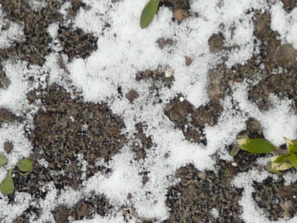 frozen ground texture 0044 - Texturelib